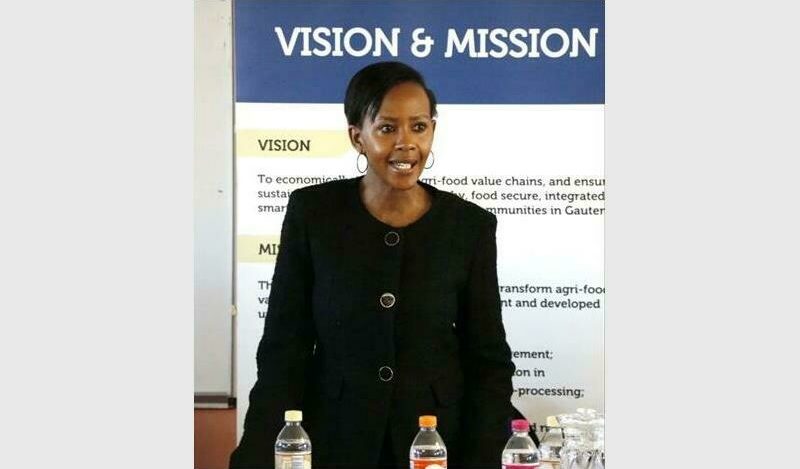 MEC to visit Bekkersdal for substance abuse campaign