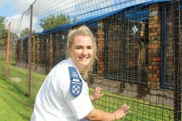 NSPCA advocates for humane culling of poultry