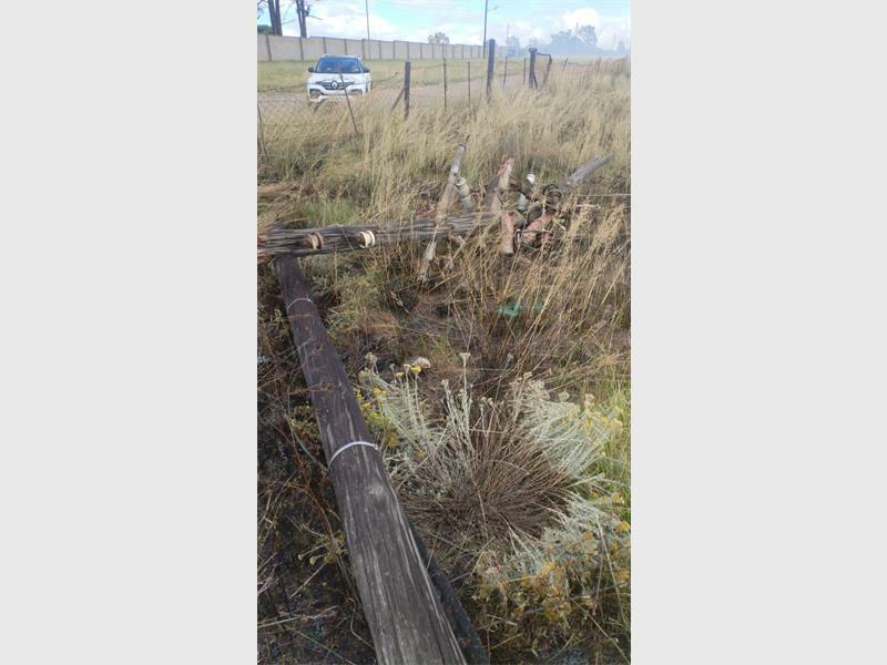 WATCH: Strong winds knock over electricity poles