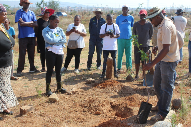 100 trees planted in Nellmapius - residents taught to care of them | Rekord