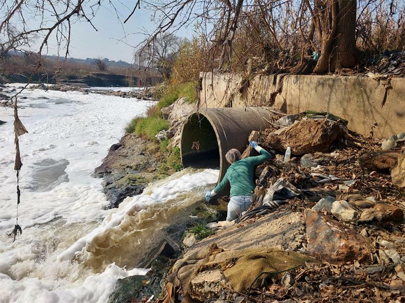 Hennops River Revival is ready to spread its wings | Rekord
