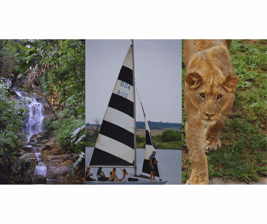 Toerismebaas slaan nuwe 'wilde' rigting in | Rekord