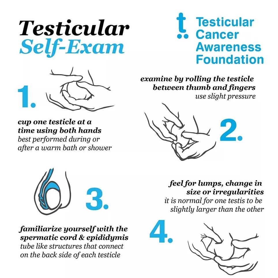 Examine your testicles in the comfort of your home, it could save your life
