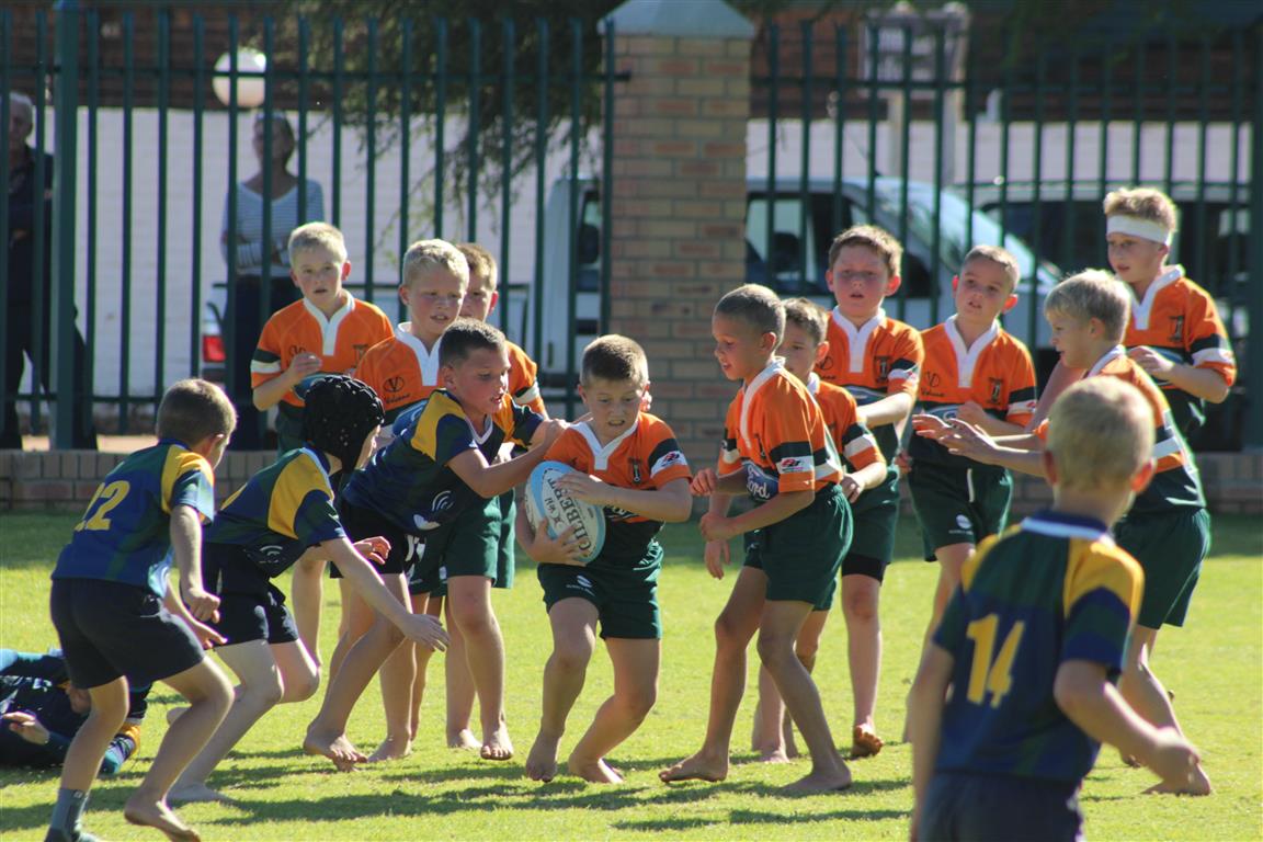 Oos en Suid meet kragte op die rugbyveld