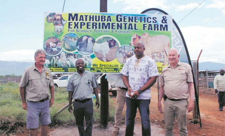 Young people encouraged to take up farming | Review