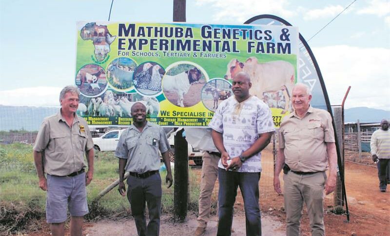 Young people encouraged to take up farming | Review