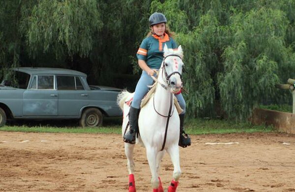 Jong ruiter tuis op perd se rug | Review