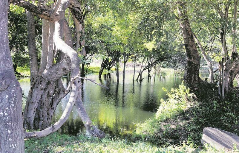 Mogalakwena River in flood for the first time since 2011 | Review