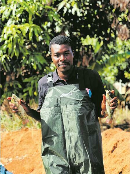 Marvellous' fish farm baits many opportunities | Review