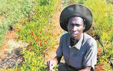Jilongo farmer believes farming is rooted in his heart | Review