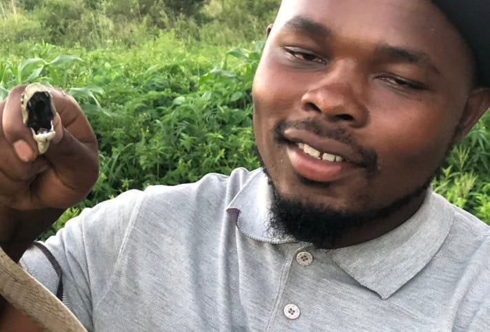 Vhembe snake catcher survives Black Mamba bite | Review