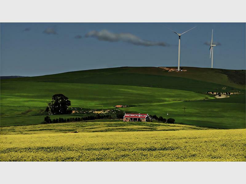 Hoëveld Fotografieklub se lede skryf beste fotos in | Ridge Times