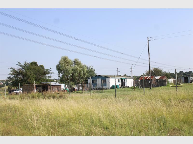 RickyB to the rescue of animals in the Secunda area | Ridge Times