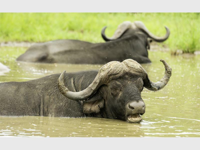 Lede van Hoëveld Fotografieklub skryf beste fotos in | Ridge Times