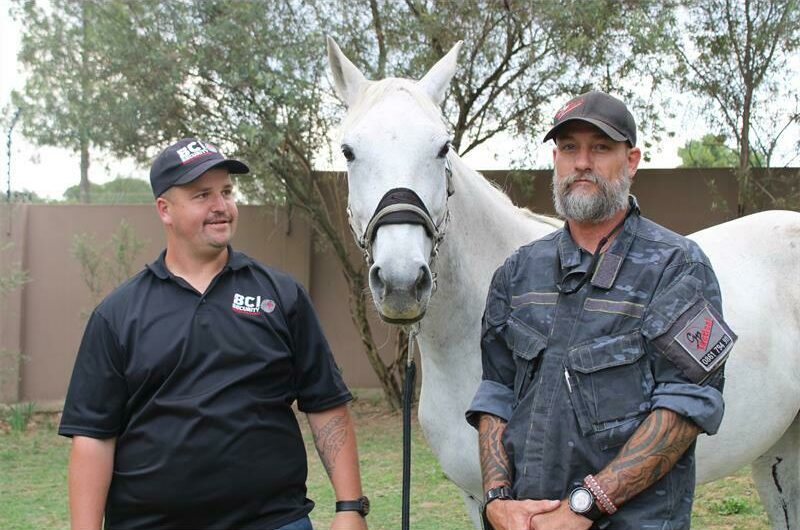 Roodepoort security companies help get Diva the mare out of a slippery ...