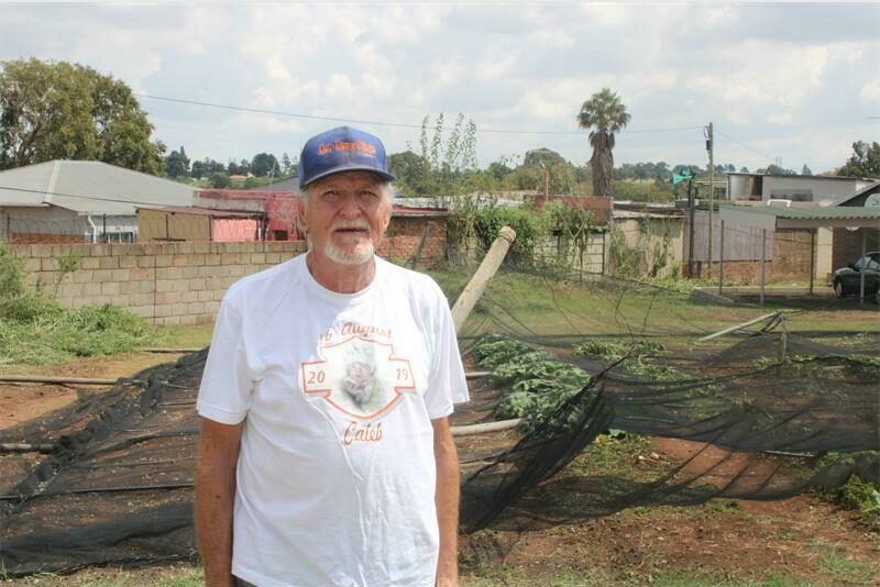 Vital veggie garden smashed by storm | Roodepoort Record