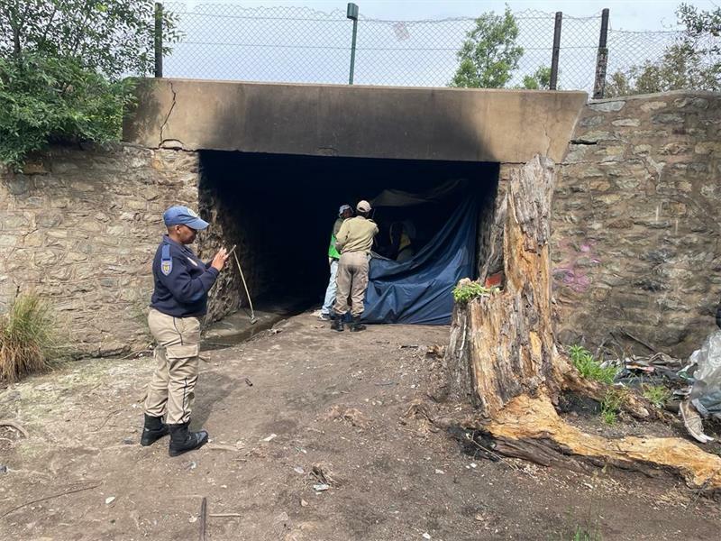 Zoo Lake receives much needed clean up | Rosebank Killarney Gazette