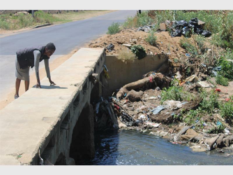 Upper bridge rehabilitation set to begin in Buccleuch | Sandton Chronicle