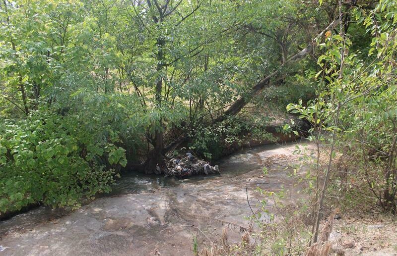 JCPZ’s blitz plan for park in Bryanston | Sandton Chronicle