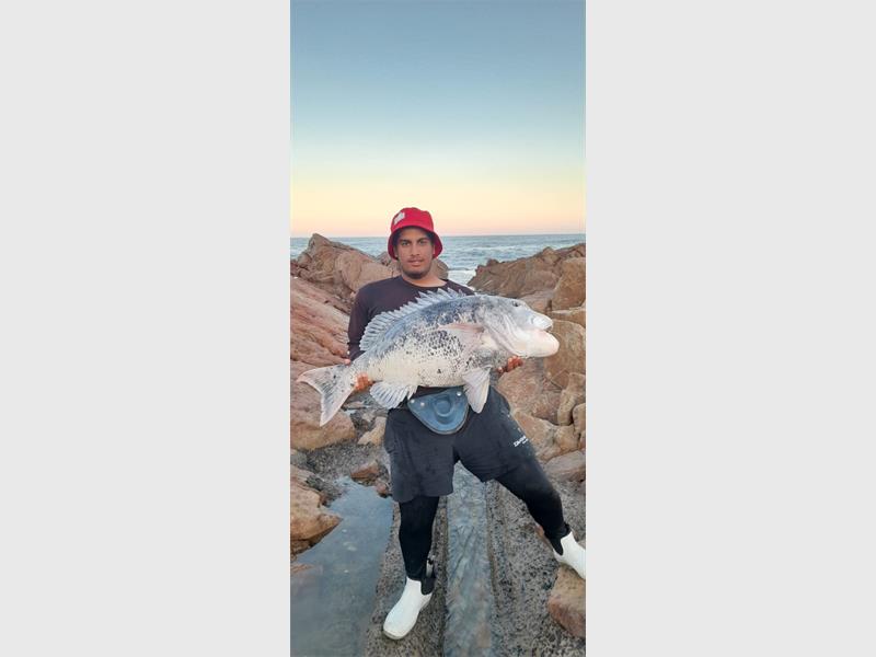 Impressive black mussel cracker catch for Clayton Hugo | South Coast Herald