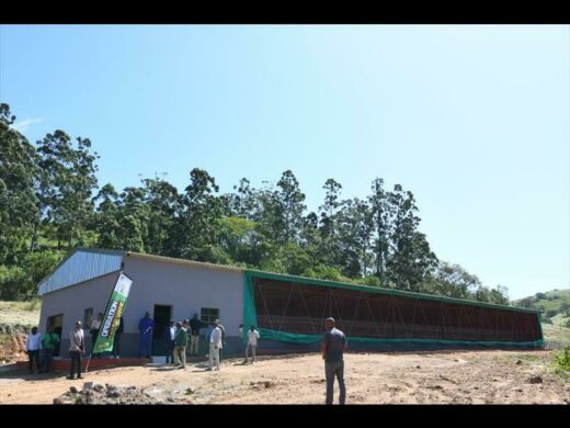 Premier in Gamalakhe with Operation Sukuma Sakhe | South Coast Herald