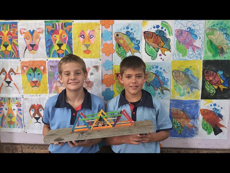 Ontwerp, versier en praktiese skeppings | South Coast Herald