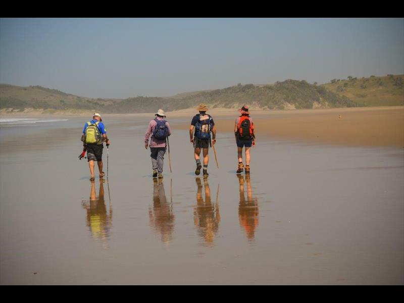 Marine Protected Areas are a massive ecotourism drawcard for South ...