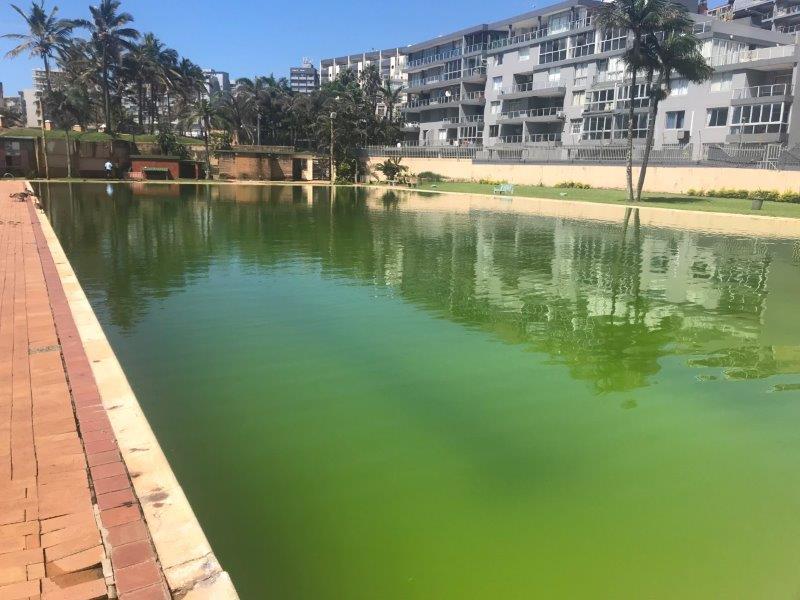 Margate's famous pool neglected | South Coast Herald