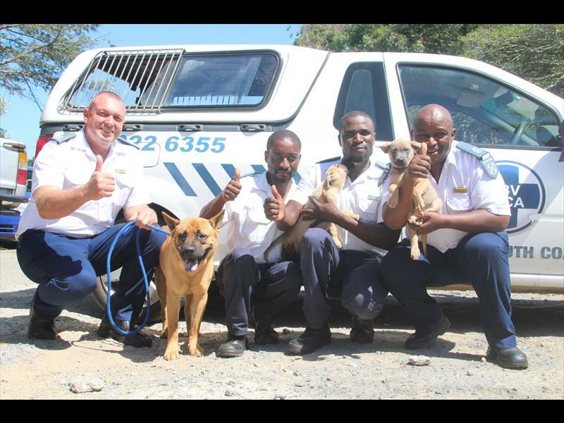 SPCA staff prepare to walk for new wheels | South Coast Herald