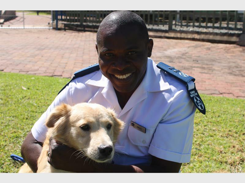 Volunteer and help the Johannesburg SPCA this Christmas | Southern Courier
