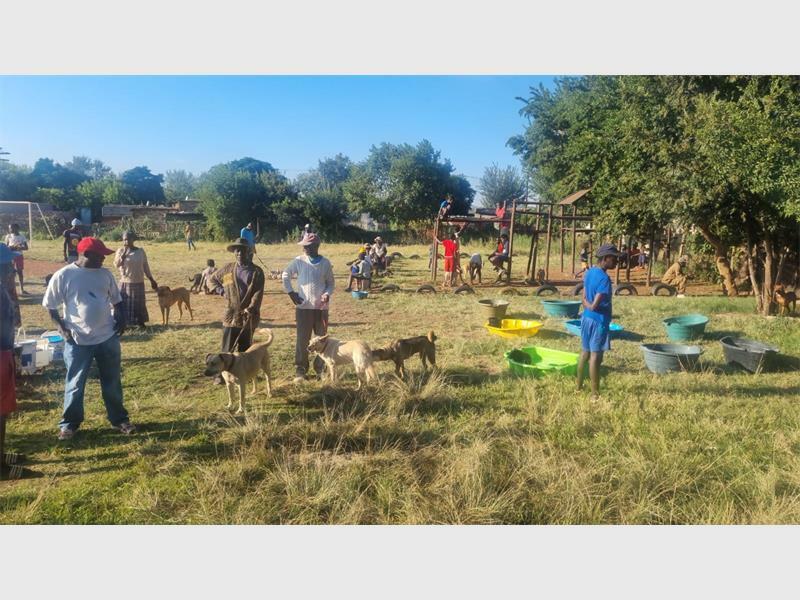 Cause4Paws needs donations to pay its veterinary clinic bill | Southern ...