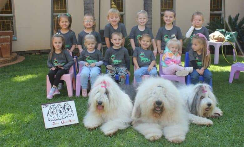 WATCH: JOY dogs spend time with little ones in Alberton | Southern Courier