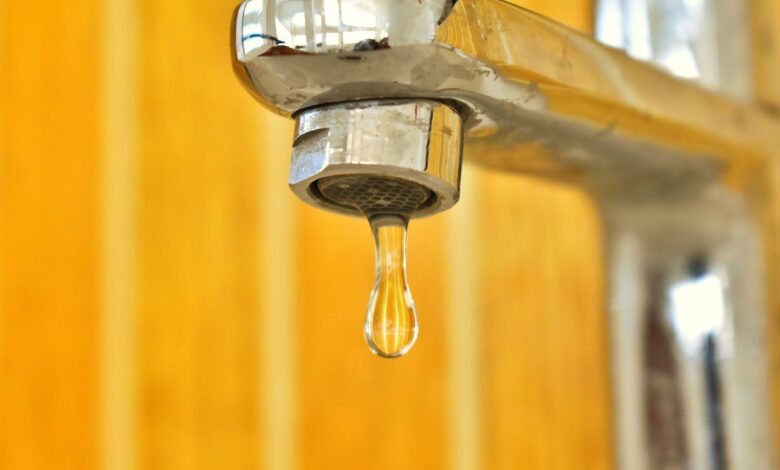 City announces water-billing plan | Southlands Sun