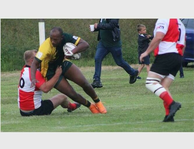 It's time for the Valke Peregrine League | Springs Advertiser