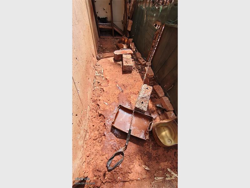 Springs SPCA rescues dogs from abusive living conditions | Springs ...