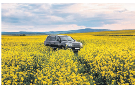 Pollen can have harmful effects on cars | Vaalweekblad