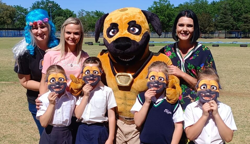 Ontmoet die nuwe superheld, Braaf die Boerboel | Vaalweekblad