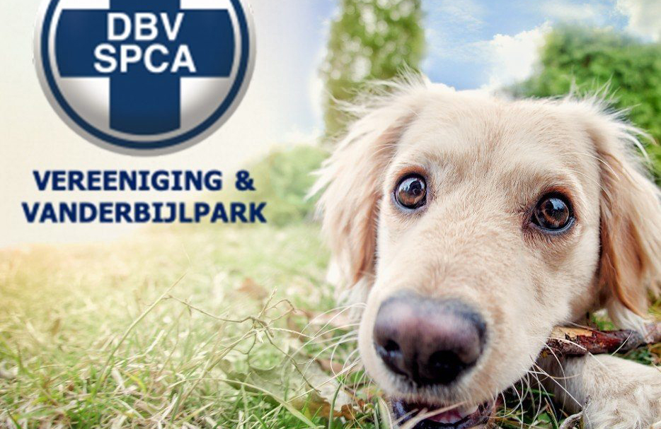 Big or small, the SPCA rescues them all | Vaalweekblad