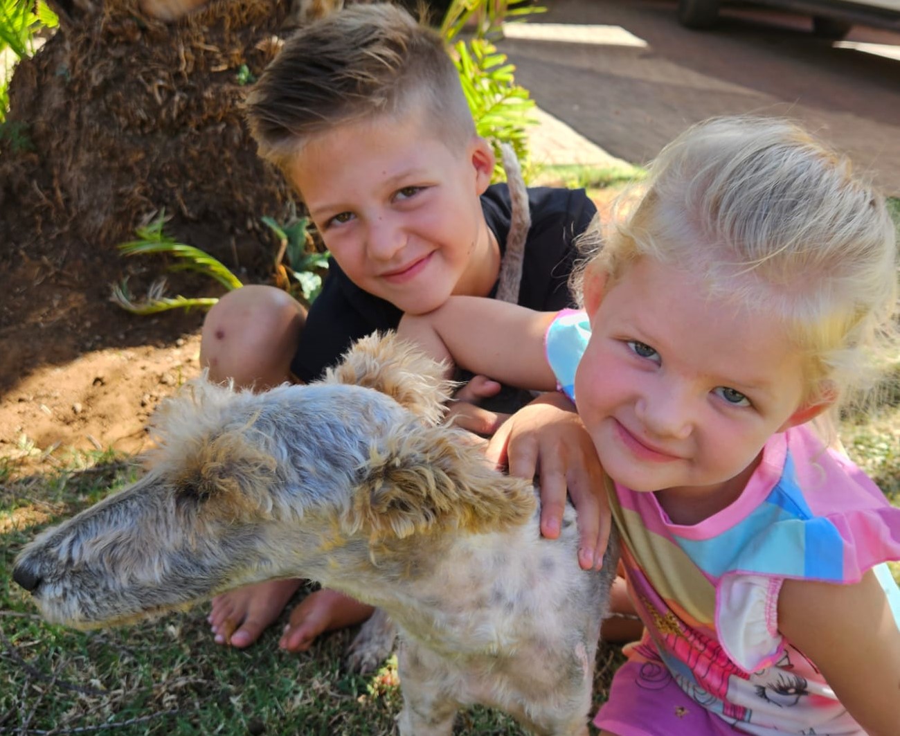 Liewe Lulu se tweede kans op die lewe | Vaalweekblad