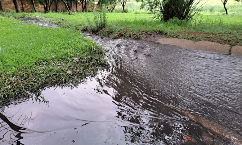 Jackaroo Park ‘black water’ under the microscope | Witbank News