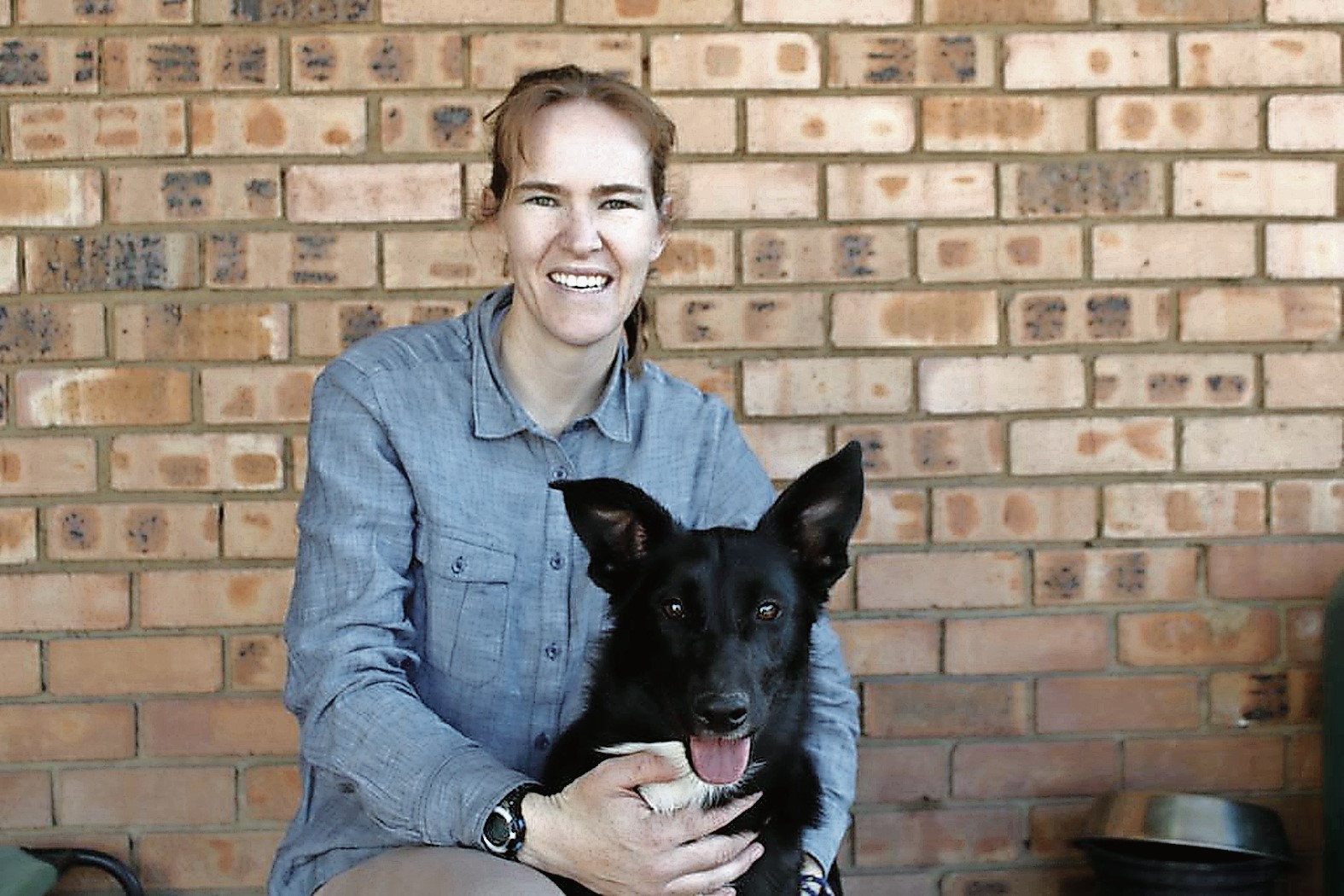 Witbank K9 Club's tails wag with pride at regionals | Witbank News