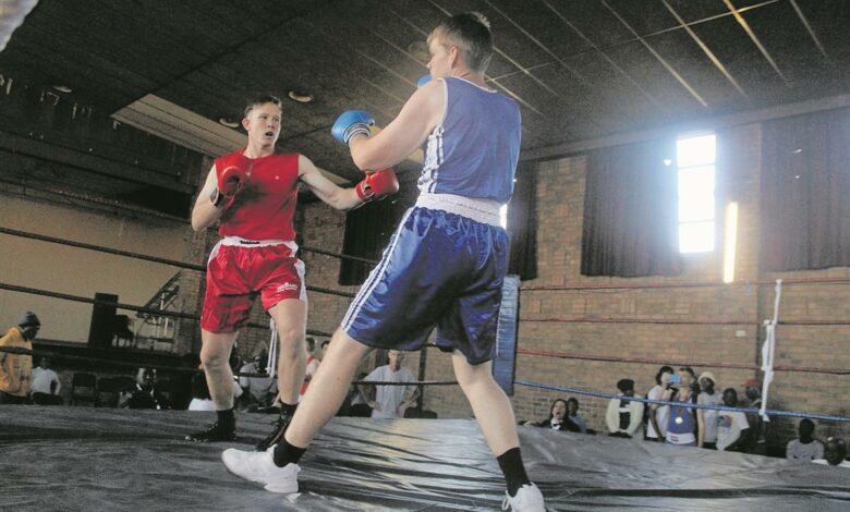 Boxers show skill in the ring at 21-bouts tournament | Witbank News
