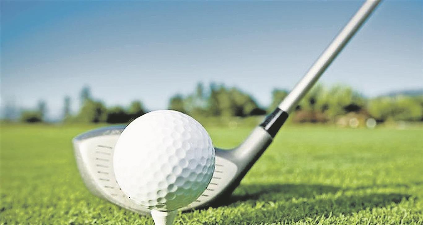 ’n Potjie golf ten bate van die welsyn en uitreikaksies | Witbank News