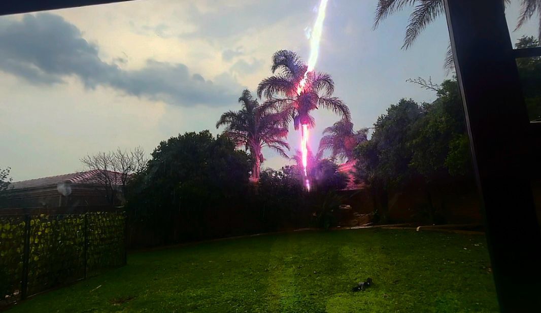 Lightning bolt strikes tree - see the footage here | Witbank News