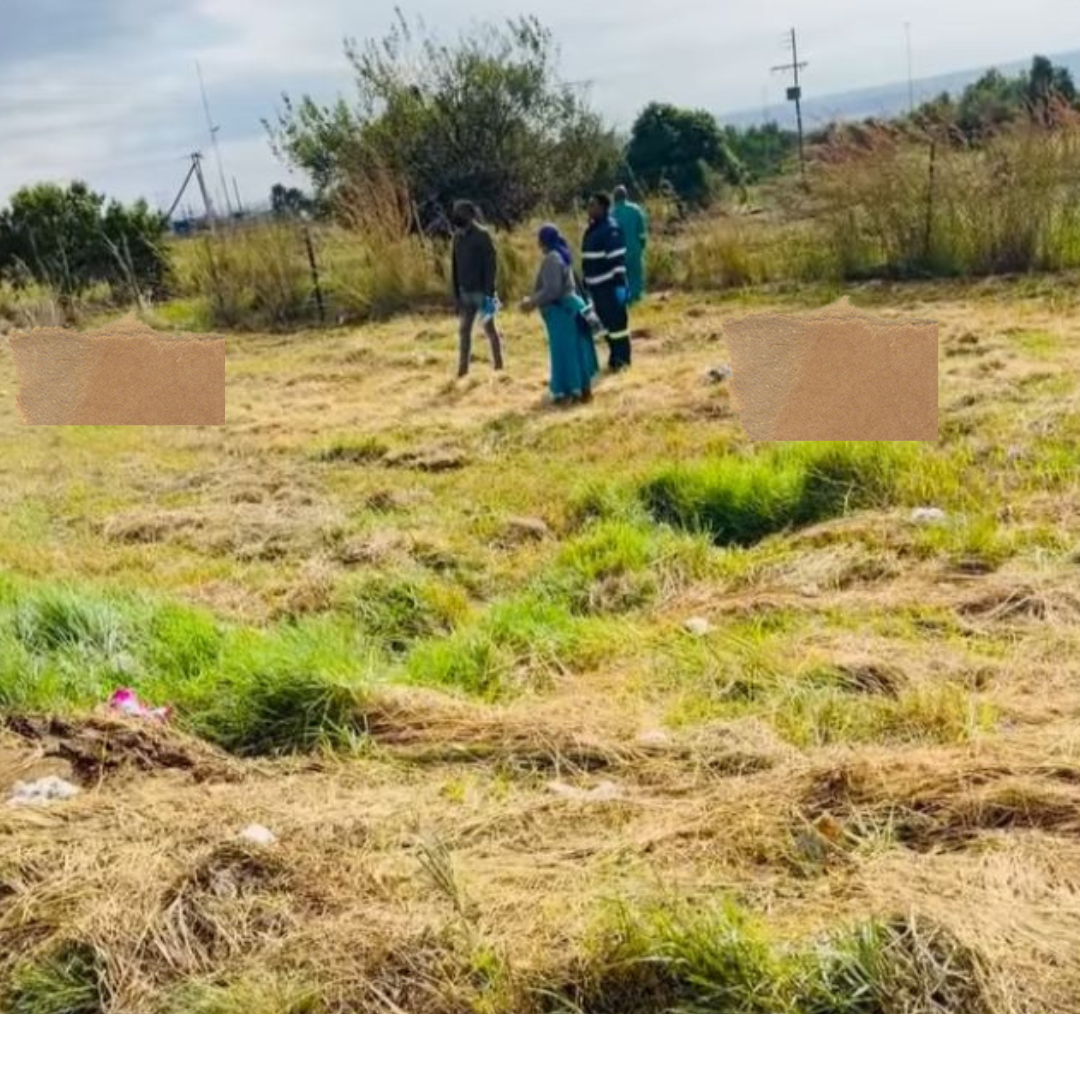Three children die when vehicle smashes into them | Witbank News