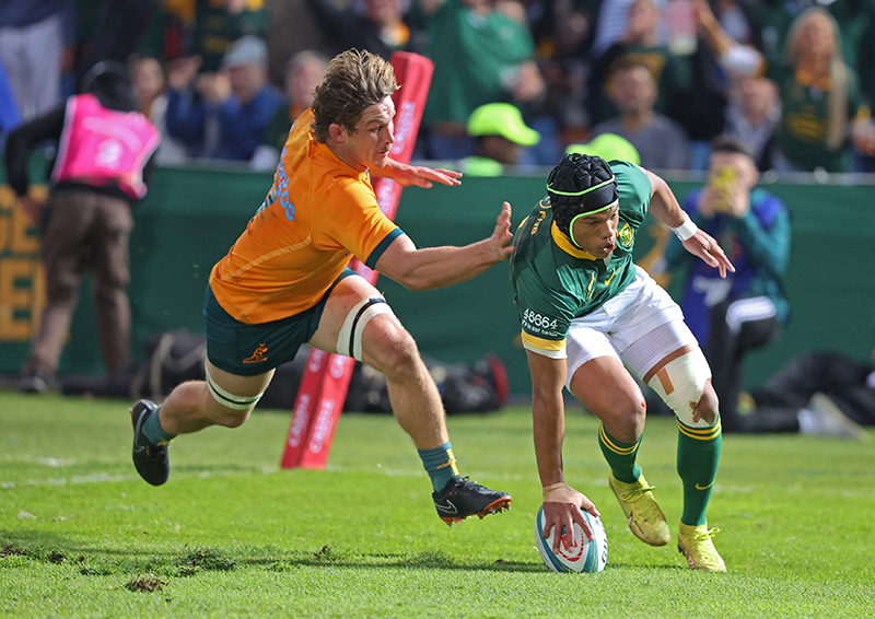 Watch: Standout tries by Springbok wings Arendse, Moodie and Kolbe ...