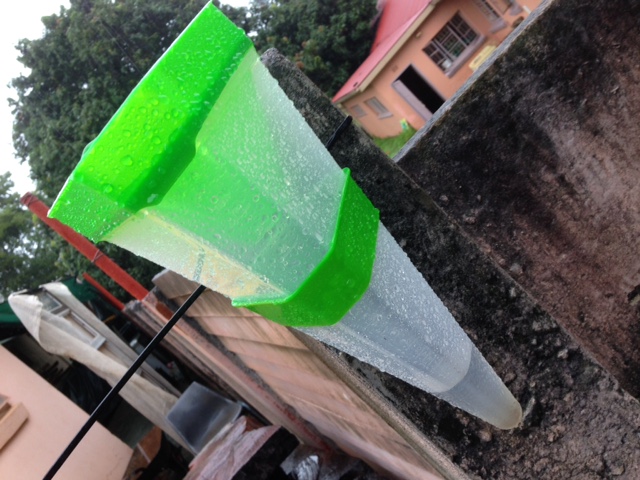 Dineo brings welcome rain to Tzaneen, wind blows down trees | The Citizen