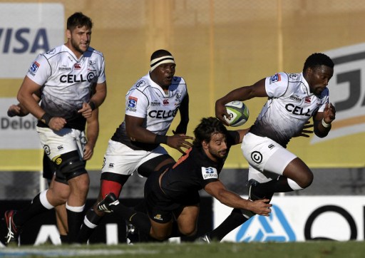 Weekend wins have renewed SA rugby fans' hope | The Citizen
