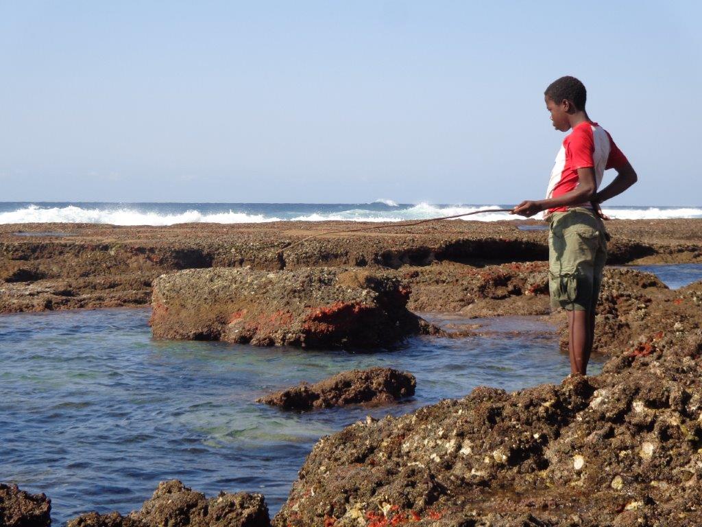 Fishing sustainably essential to marine life | The Citizen