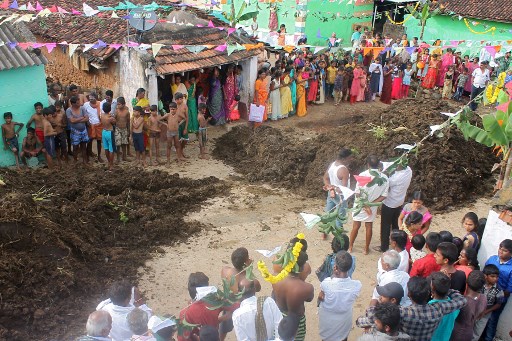Don't poo-poo it! Indian dung festival celebrates end to Diwali | The ...